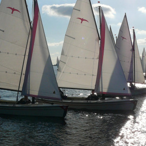 Polyvalk mieten - Ottenhome Heeg